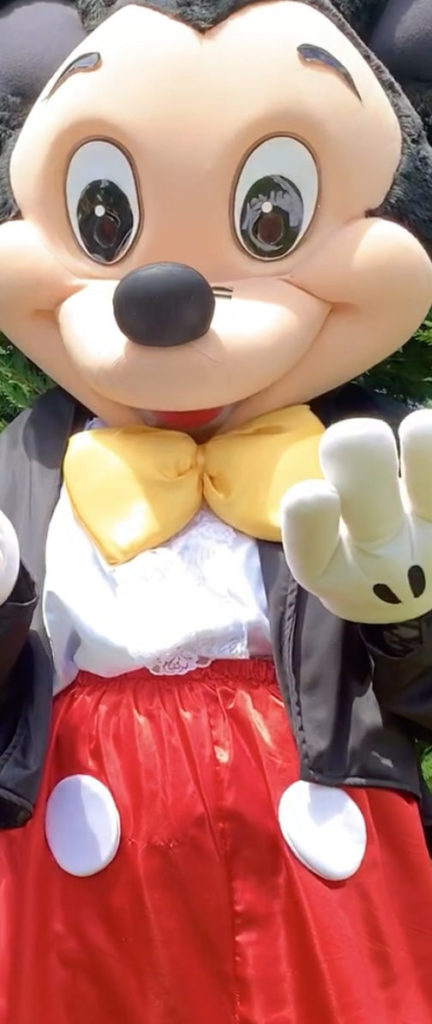 Services - Birthday Party Characters, Princess Parties, Superhero Parties