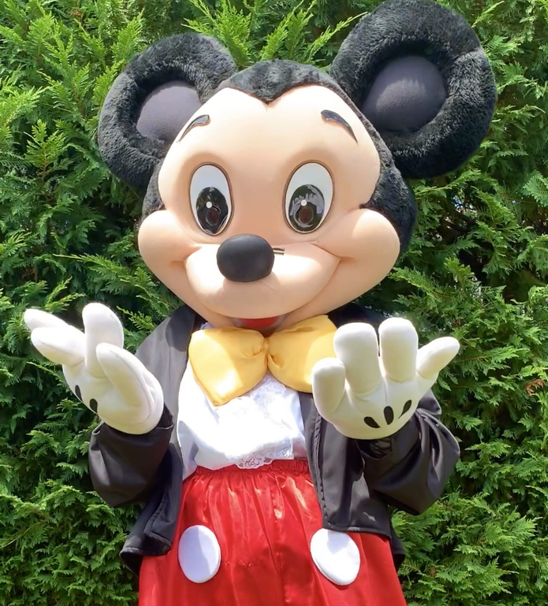 Rent a Character, Hire Princess and Superhero Entertainers