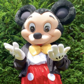 Rent Costume Characters, Hire a Princess, Superhero Parties